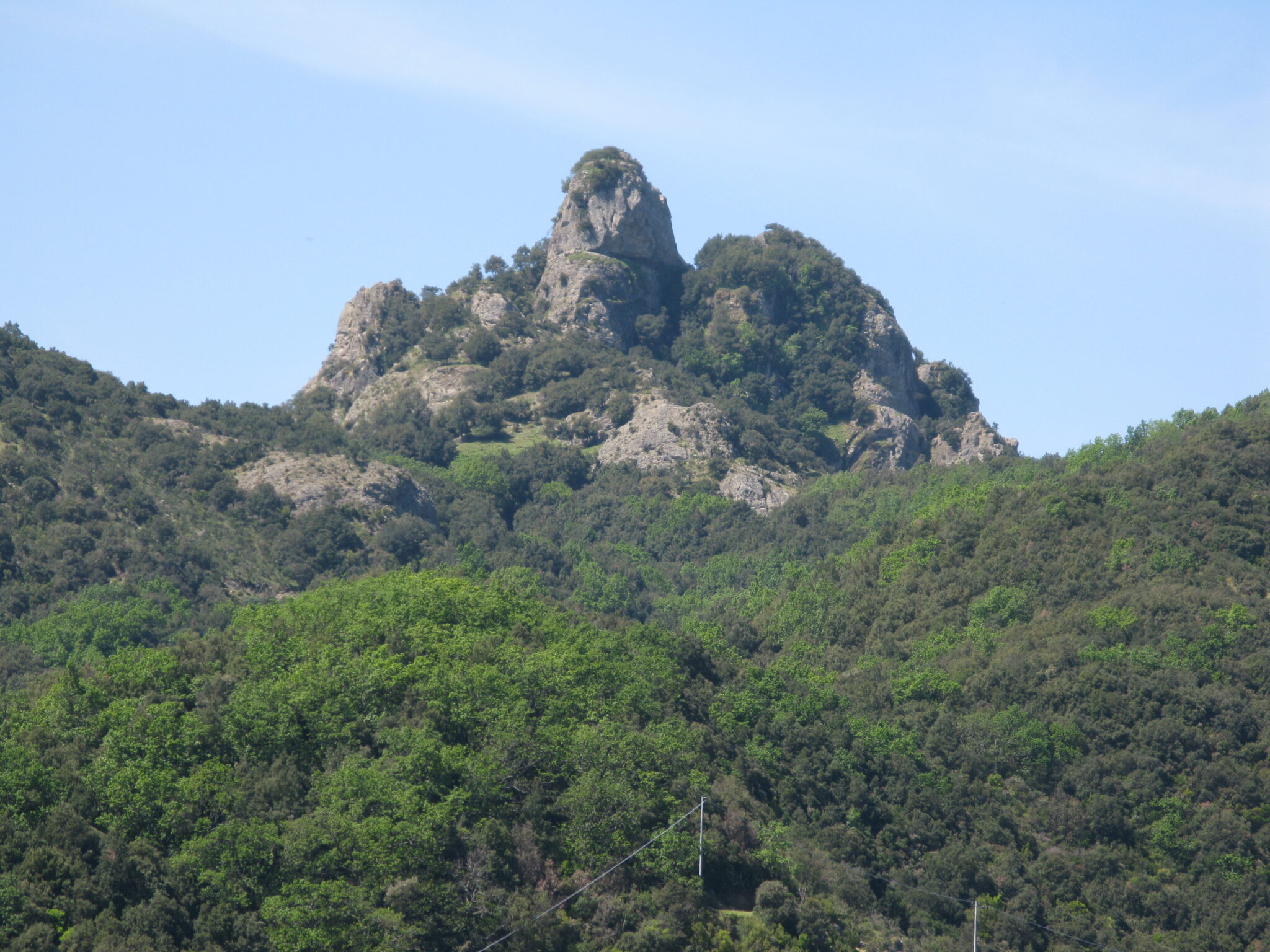 Aspromonte National Park: a natural jewel of Calabria - BV Kalafiorita ...